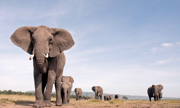 How To Install Postgresql In A Custom Directory